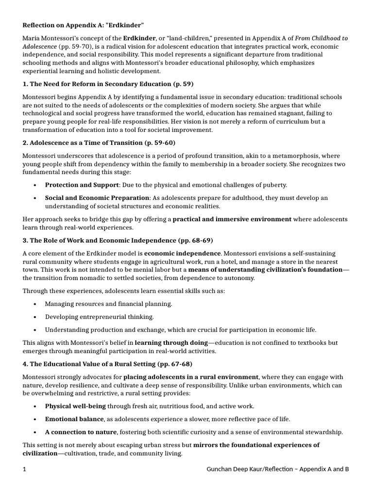 Reflection - Appendix A and B | PDF | Montessori Education | Adolescence
