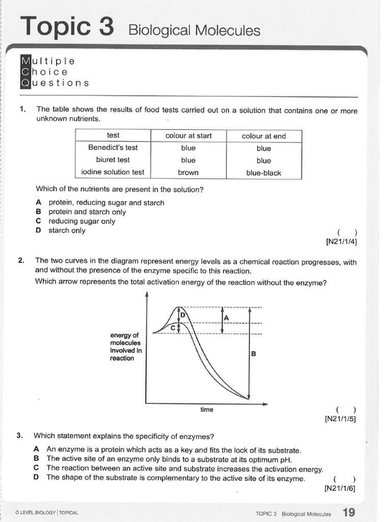 Topic 3 - Biological Molecules | PDF