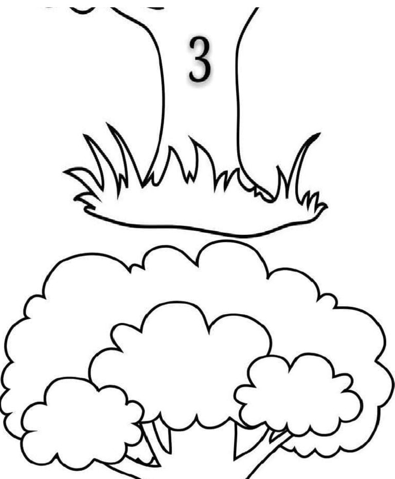 Molde de Arbol | PDF