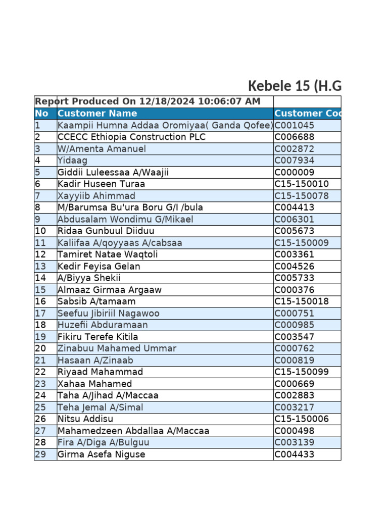 Kebele 15 Customer Report Summary | PDF