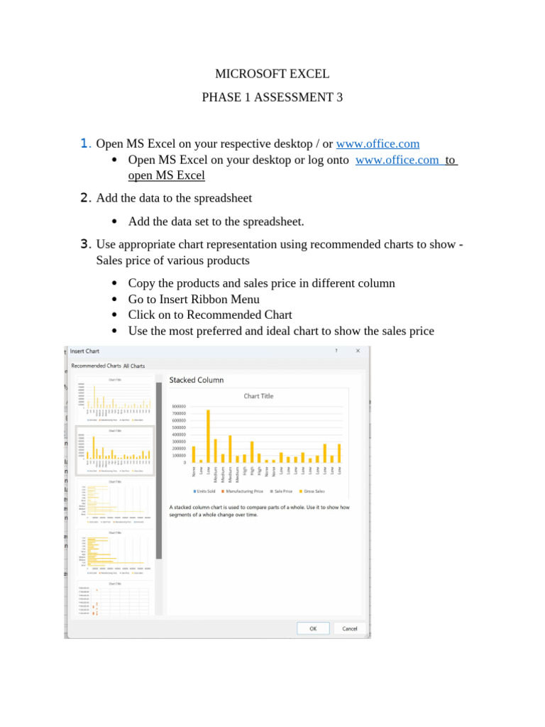 Excel Phase 1 Assessment Guide | PDF
