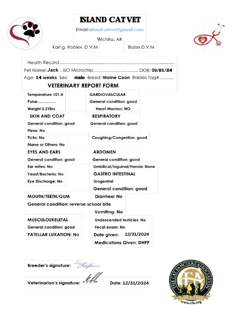 VET REPORT FOR FIONA.pdf | PDF