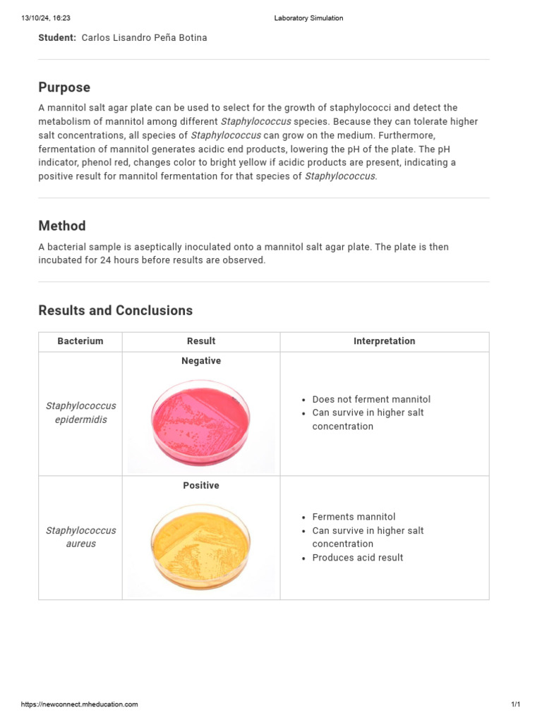 Mannitol Salt Agar | PDF