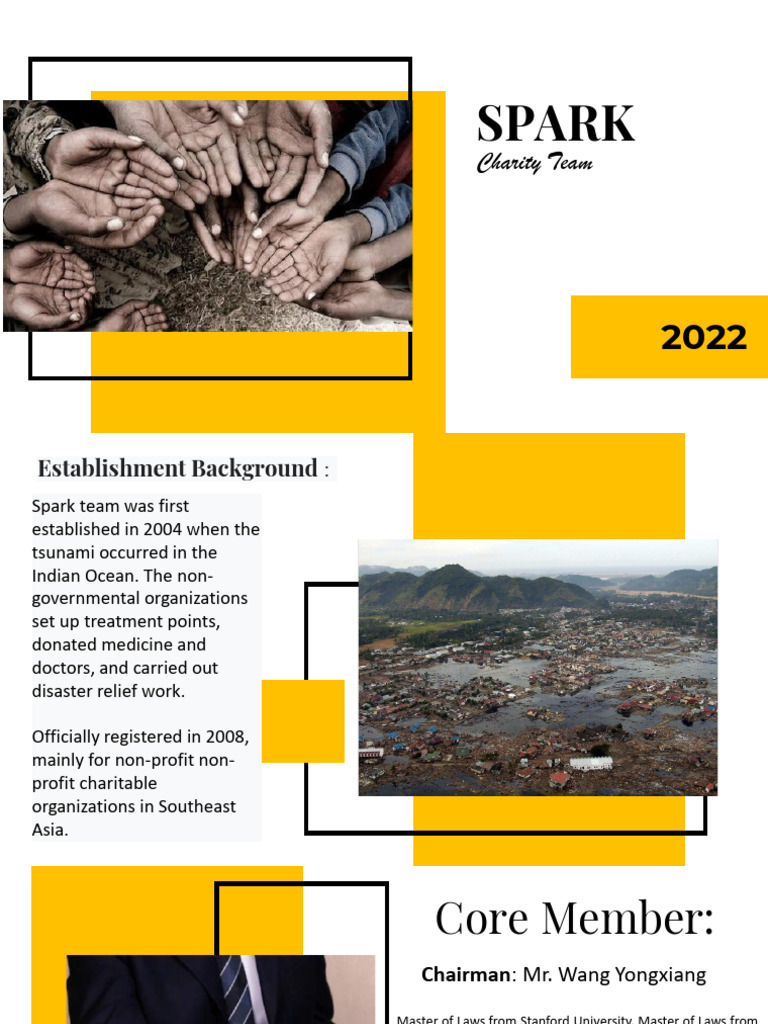 Spark Charity Team | PDF | Charitable Organization | Investing