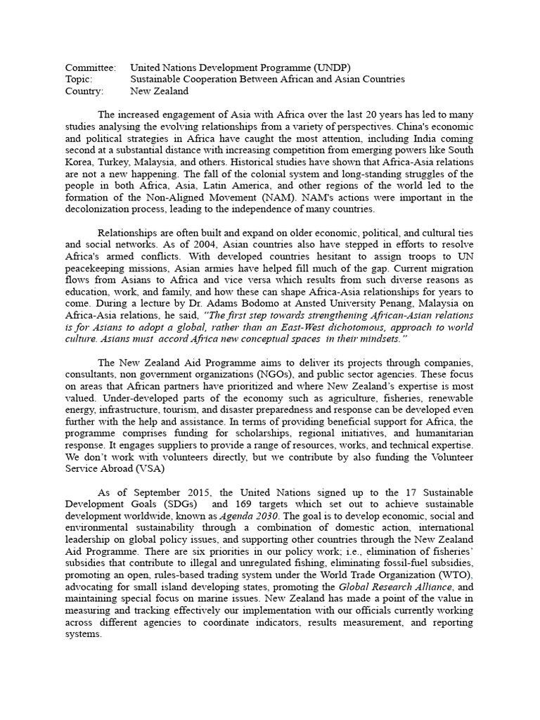 UNDP Topic 1 Position Paper | PDF | Non Governmental Organization | Subsidy