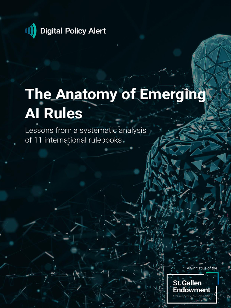 DPA Anatomy of AI Rules 1715484410 | PDF