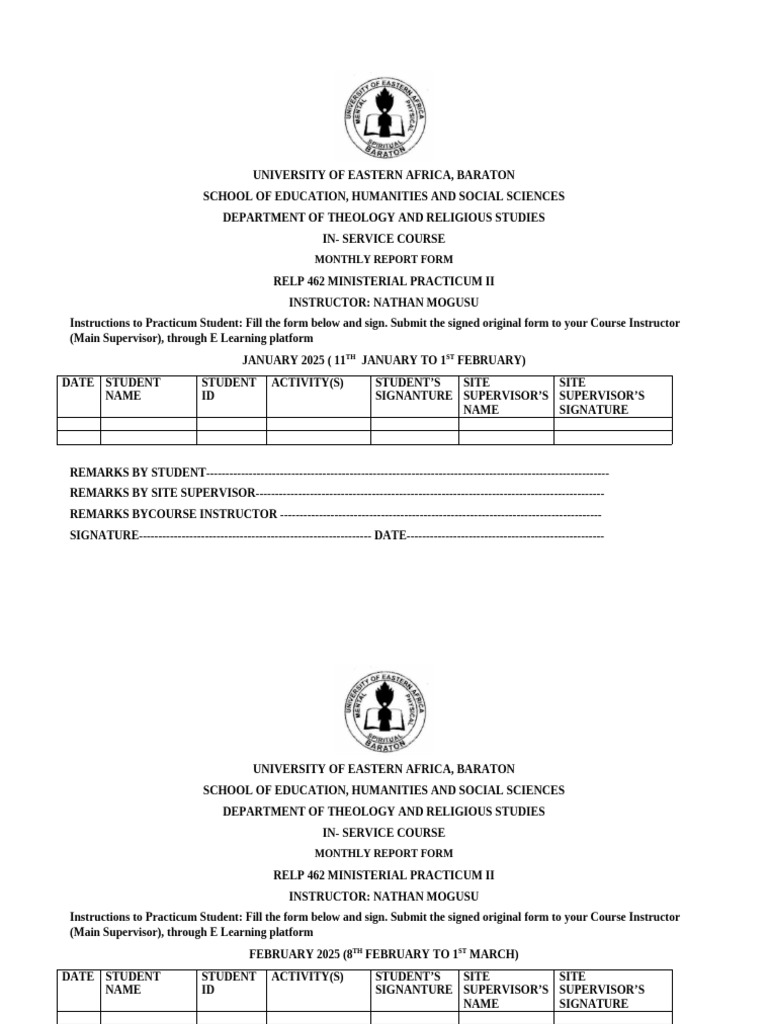 Practicum Ii Monthly Report Form | PDF