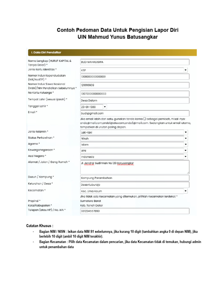 Contoh Pedoman Data Untuk Pengisian Lapor Diri | PDF