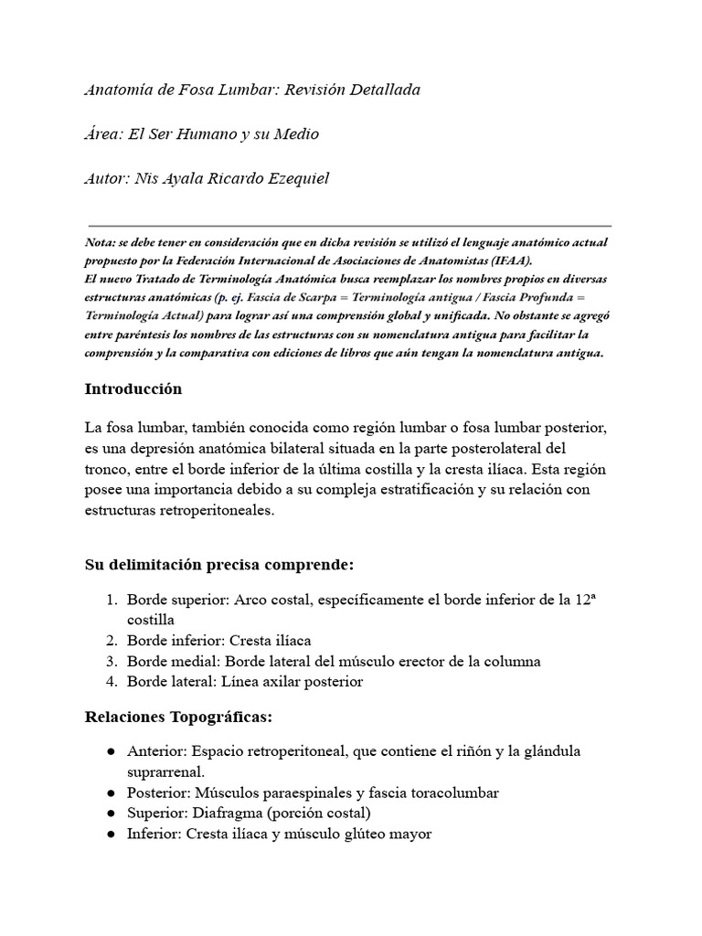 Anatomía de la Fosa Lumbar Detallada | PDF | Abdomen | Piel