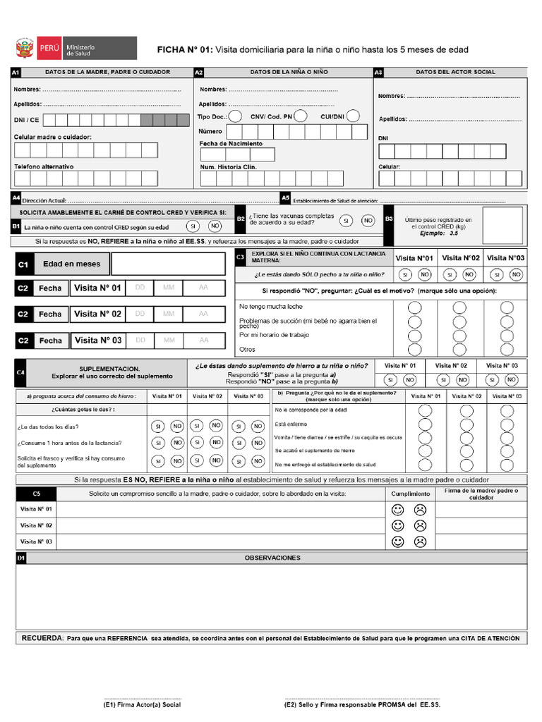 Ficha 1 VD 1 a 5 MESES de EDAD (Edición 2024).PDF - Ministerio de Salud | PDF