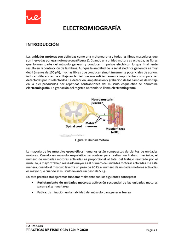 Electromiografía: Práctica de Fisiología | PDF | Electromiografia | Músculo