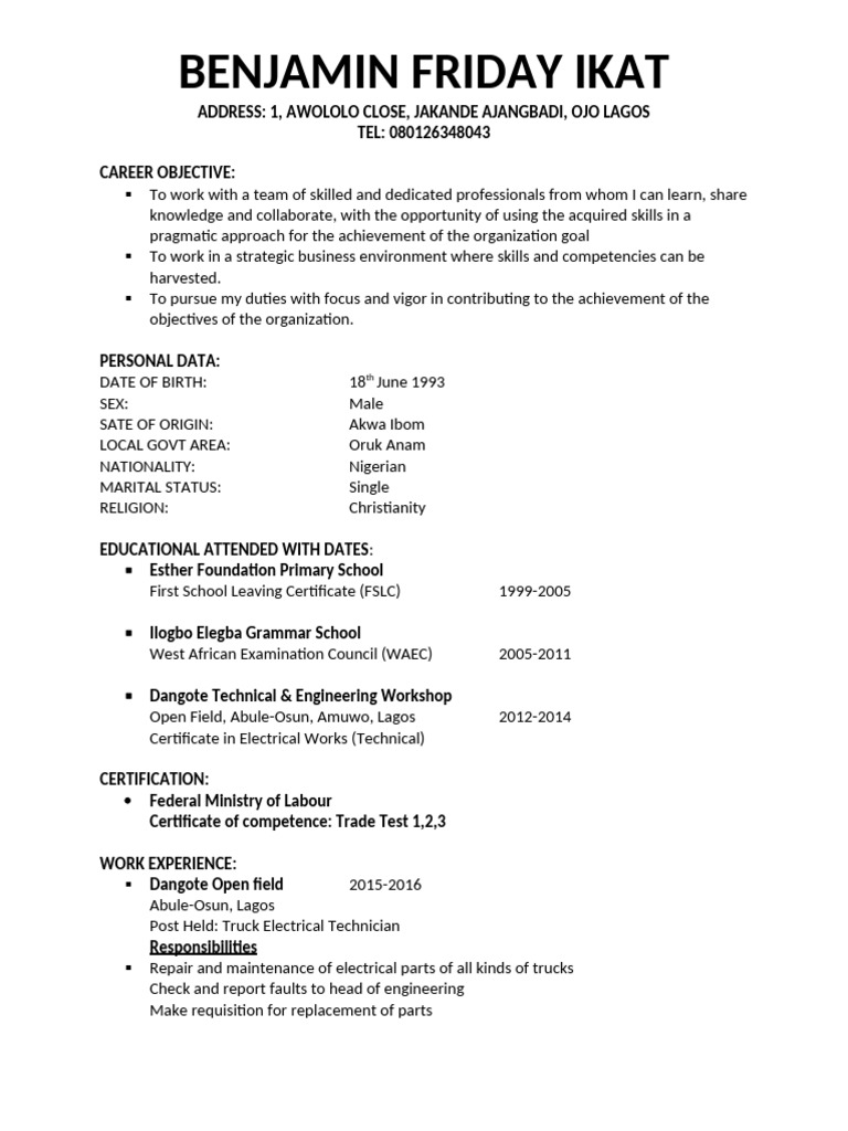 Benjamin Cv (1) | PDF | Electrician