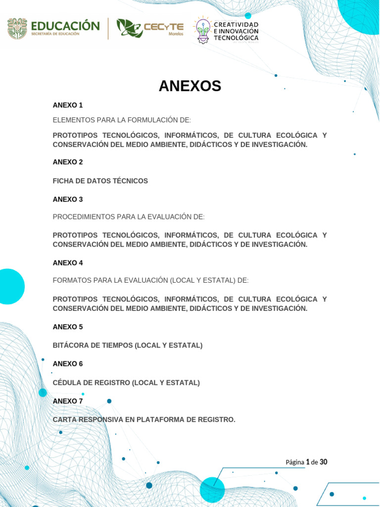 ANEXOS CONCURSO 2025 | PDF | Programa de computadora | Programación