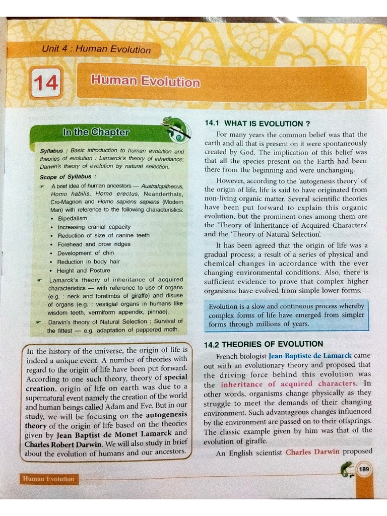 CHP 14 Human Evolution (Class 10 Biology) | PDF