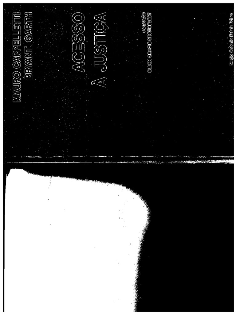 TGP I - Aula 11 - Mauro Cappelletti e Bryant Garth | PDF