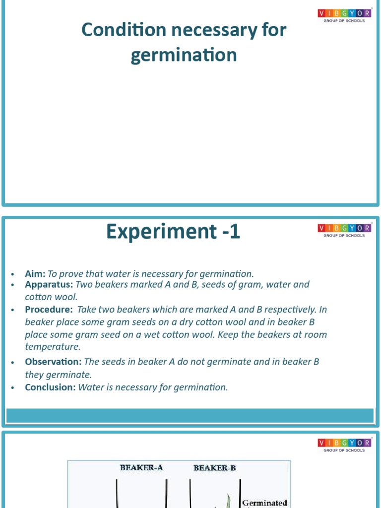 Seed germination_JOURNALWORK | PDF | Seed | Water
