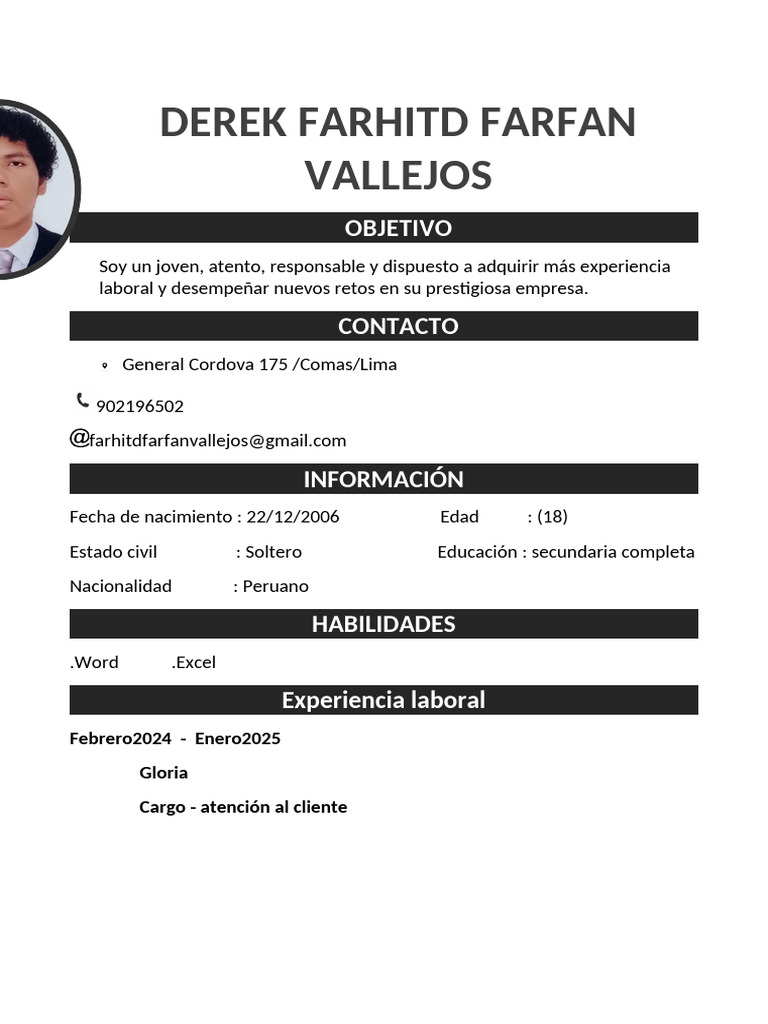 CV 1 Derek Farhitd Farfan Vallejos | PDF