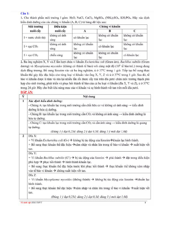 VSV | PDF