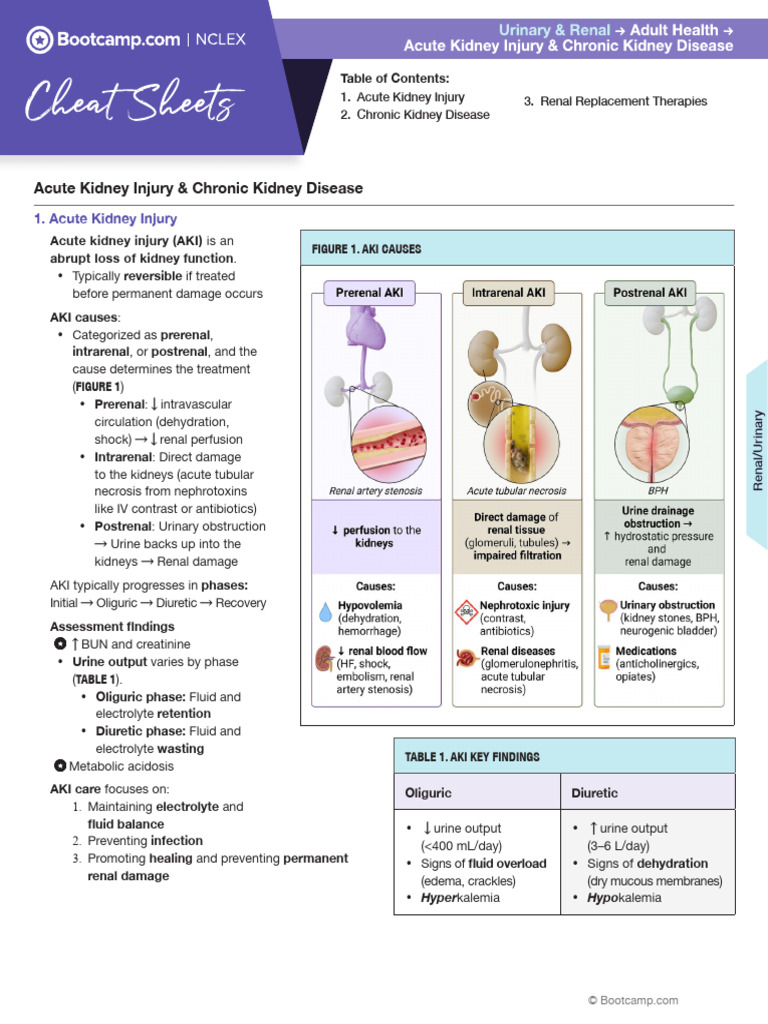 Acute Kidney Injury Overview and Care | PDF | Kidney | Abdomen