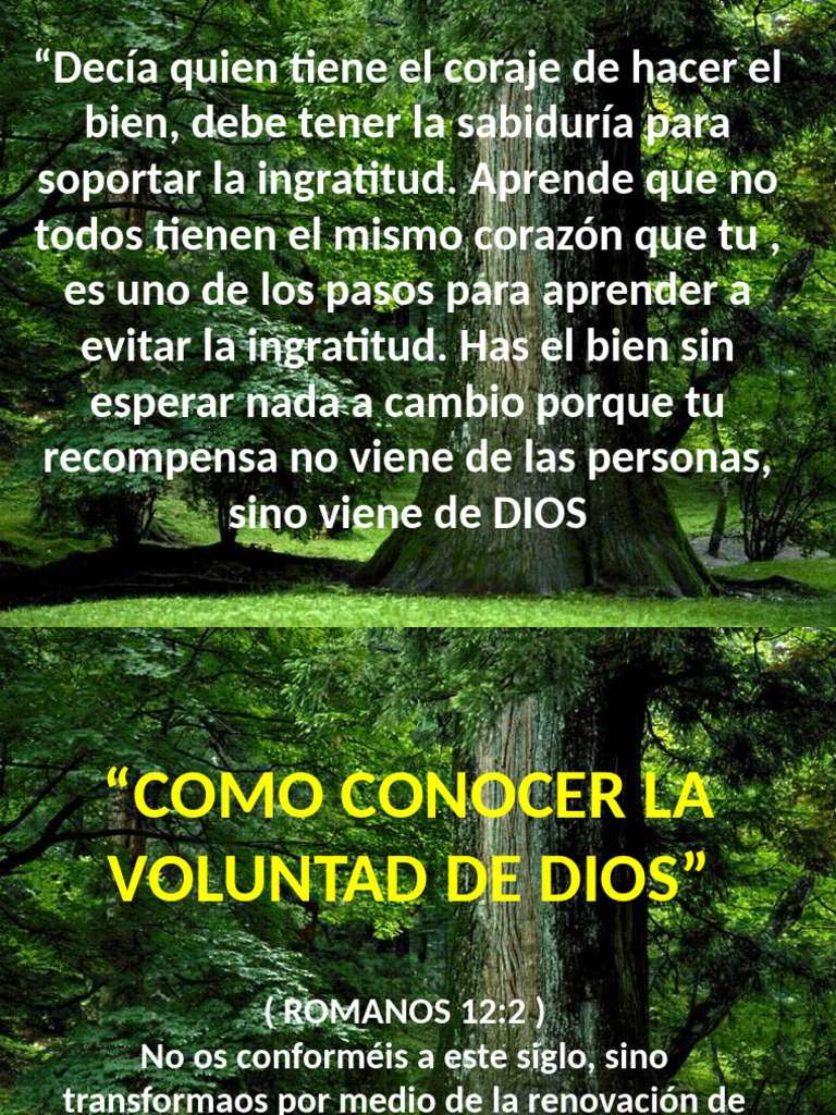 Como Conocer La Voluntad de Dios | PDF | Oración | Dios