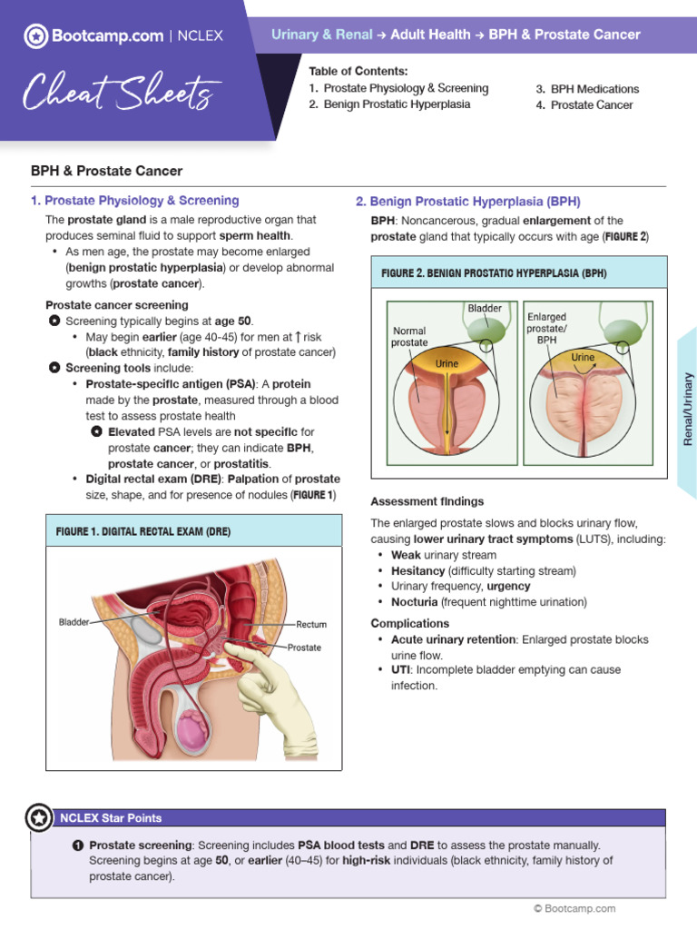 BPH & Prostate Cancer Cheat Sheet | PDF | Prostate | Urinary Incontinence