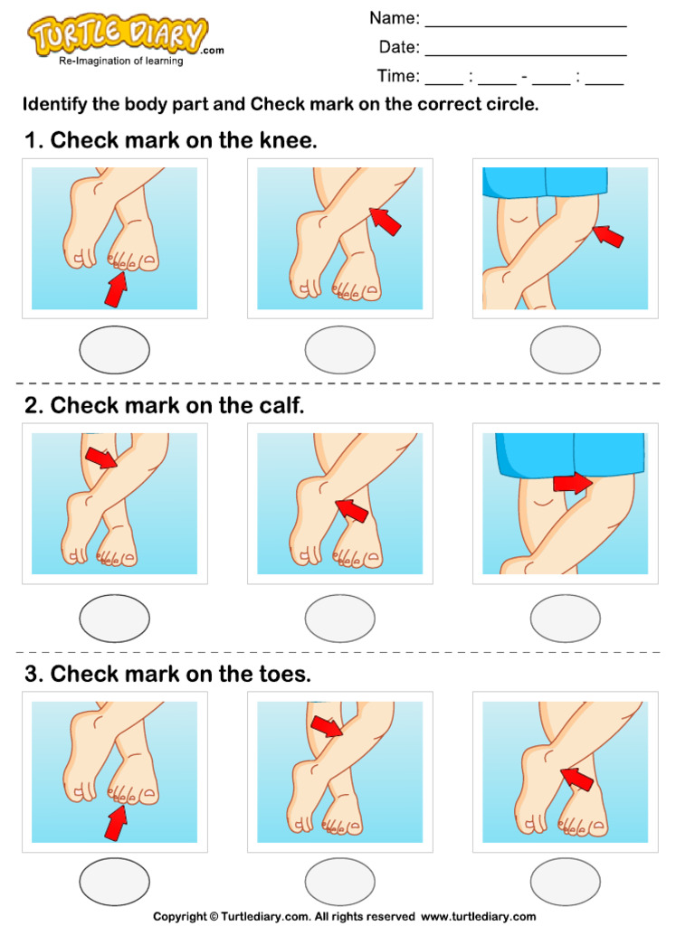 Knees and Toes | PDF