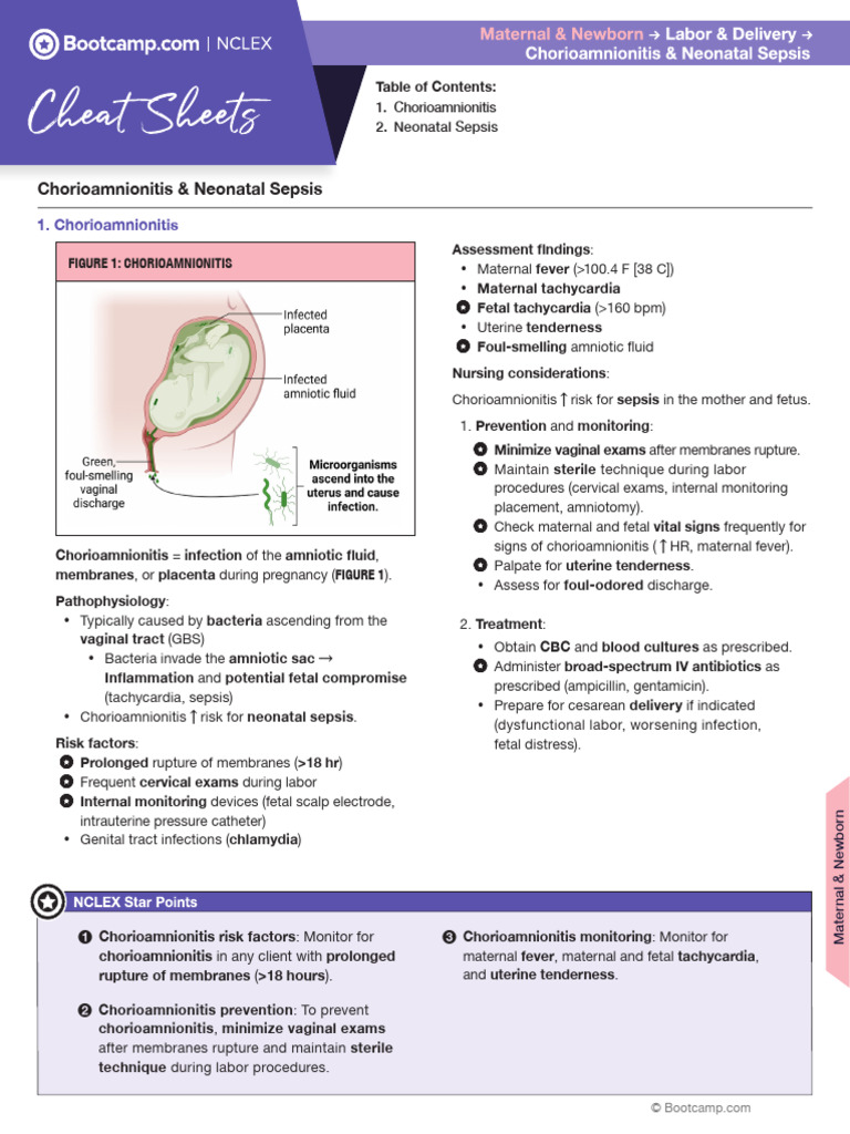 Chorioamnionitis and Neonatal Sepsis Guide | PDF | Motherhood | Public ...