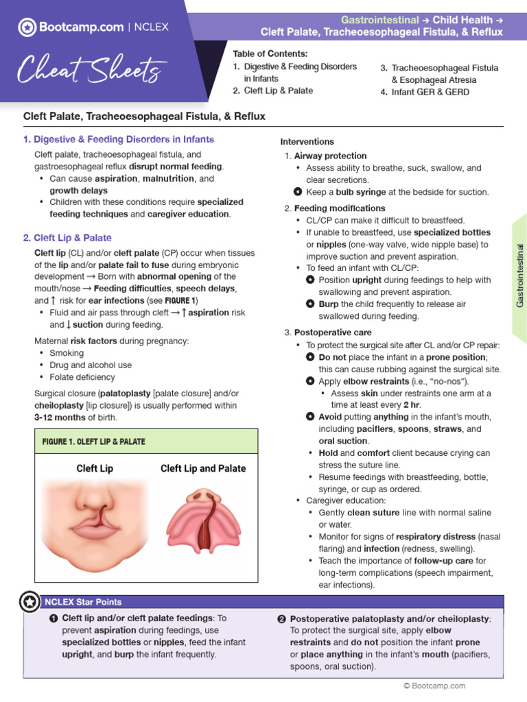 Cleft Palate, Tracheoesophageal Fistula, & Reflux Cheat Sheet | PDF ...