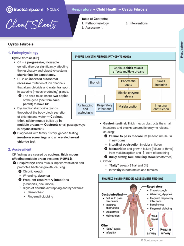 Cystic Fibrosis Cheat Sheet | PDF | Medical Specialties | Diseases And ...