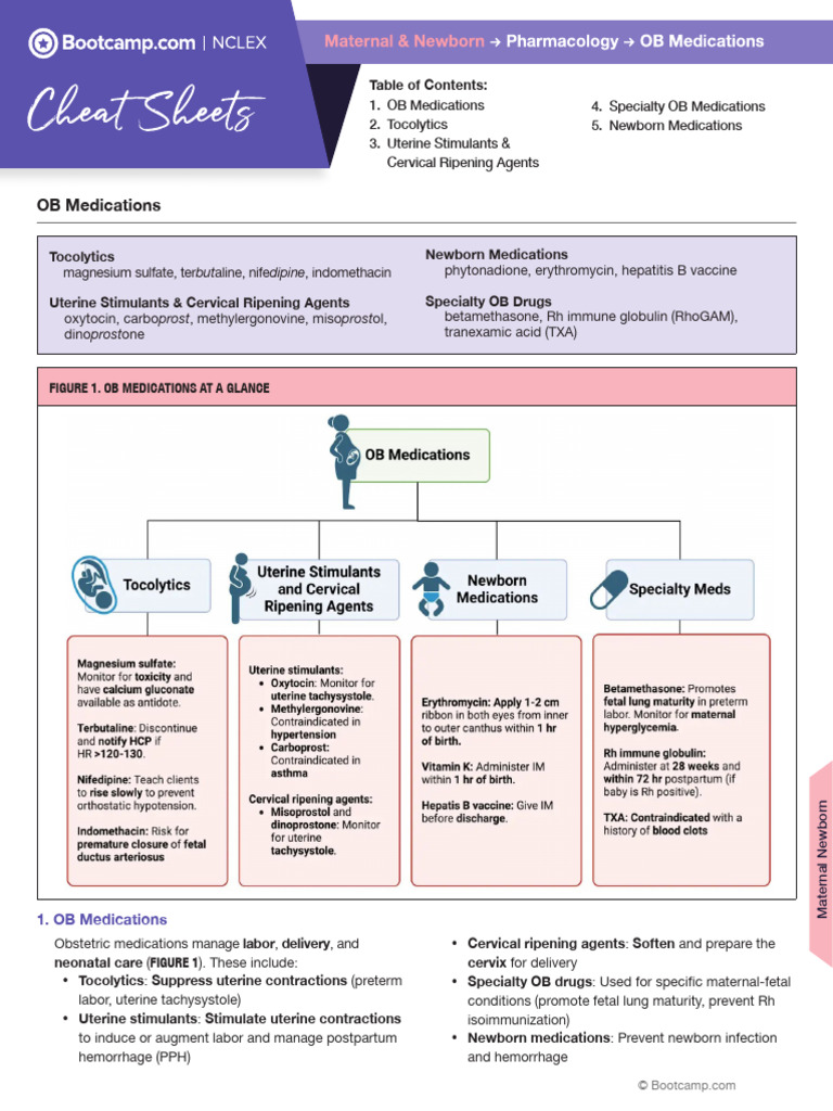 OB Medications Cheat Sheet | PDF | Childbirth | Mammalian Pregnancy