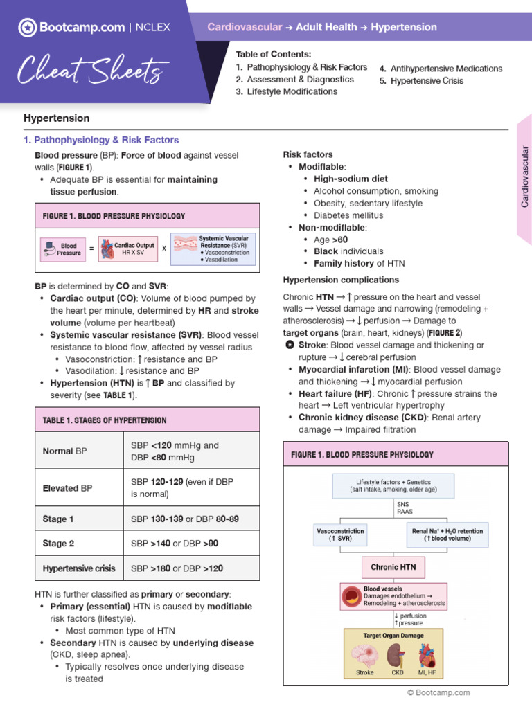 Hypertension Overview and Management Guide | PDF | Hypertension | Blood ...