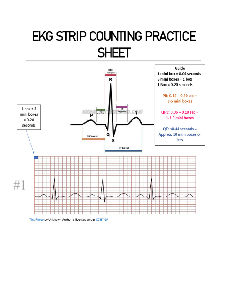 EKG Strip Counting Practice Sheet | PDF | Electrocardiography | Physiology