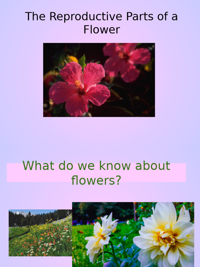 Flower Reproduction Notes (1) | PDF