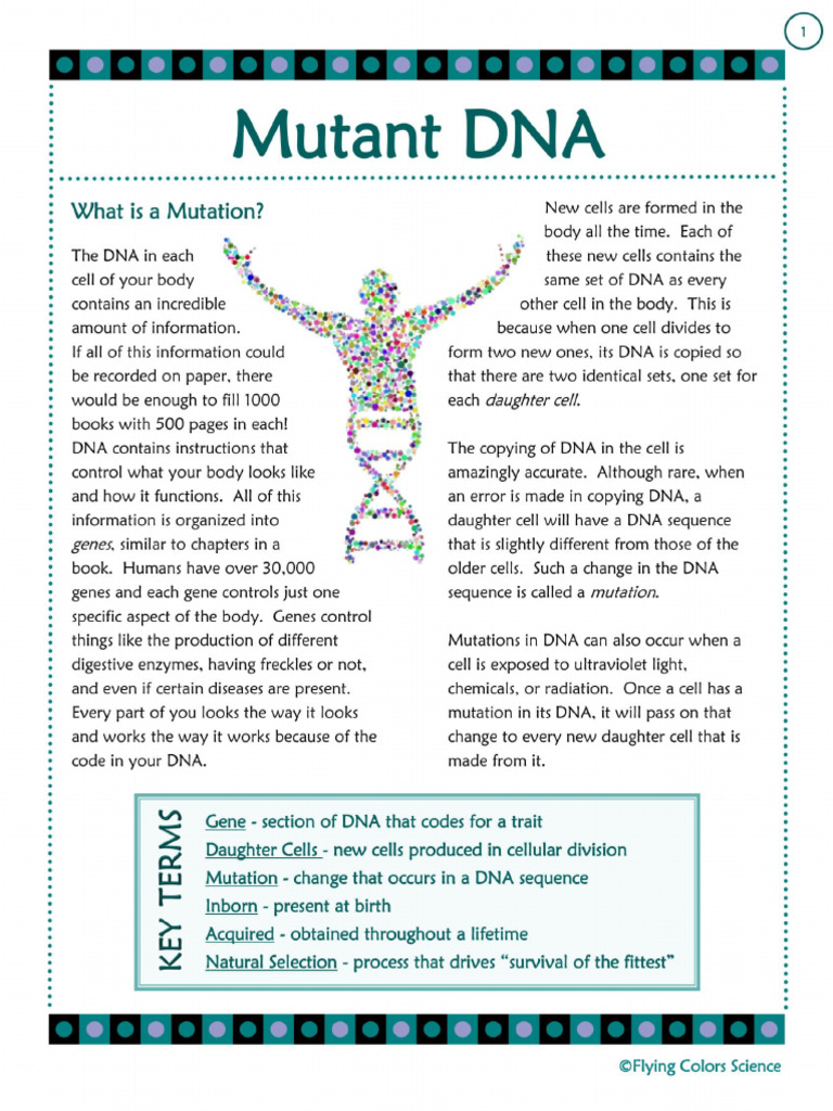 DNA Mutations | PDF