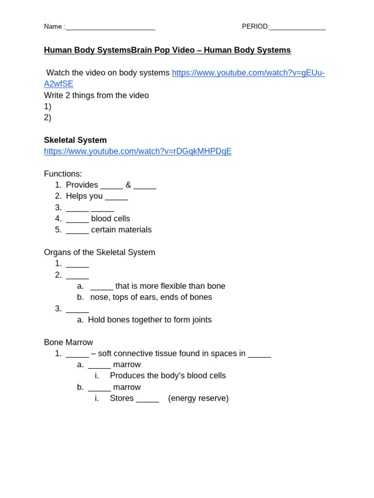 Human Body Systems Overview | PDF | Digestion | Gastrointestinal Tract