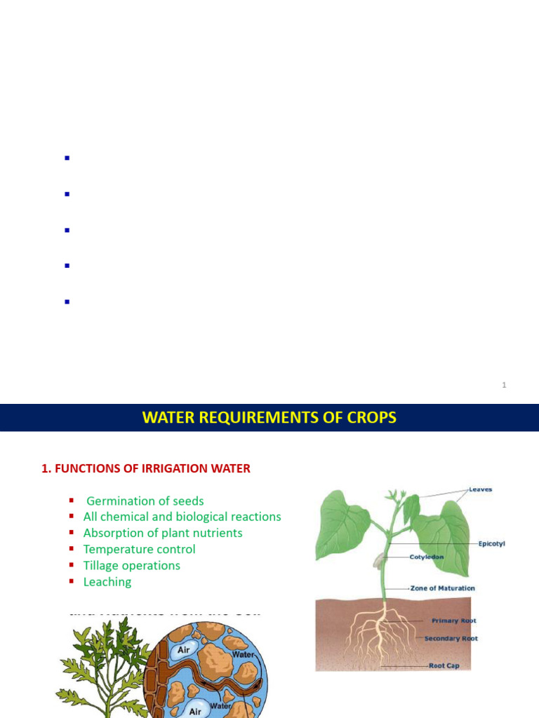 Crop Water Requirements & Irrigation Methods | PDF | Irrigation | Soil