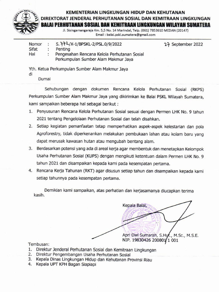 Rencana Kelola Perhutanan Sosial Pt. Diamond Raya Timber | PDF