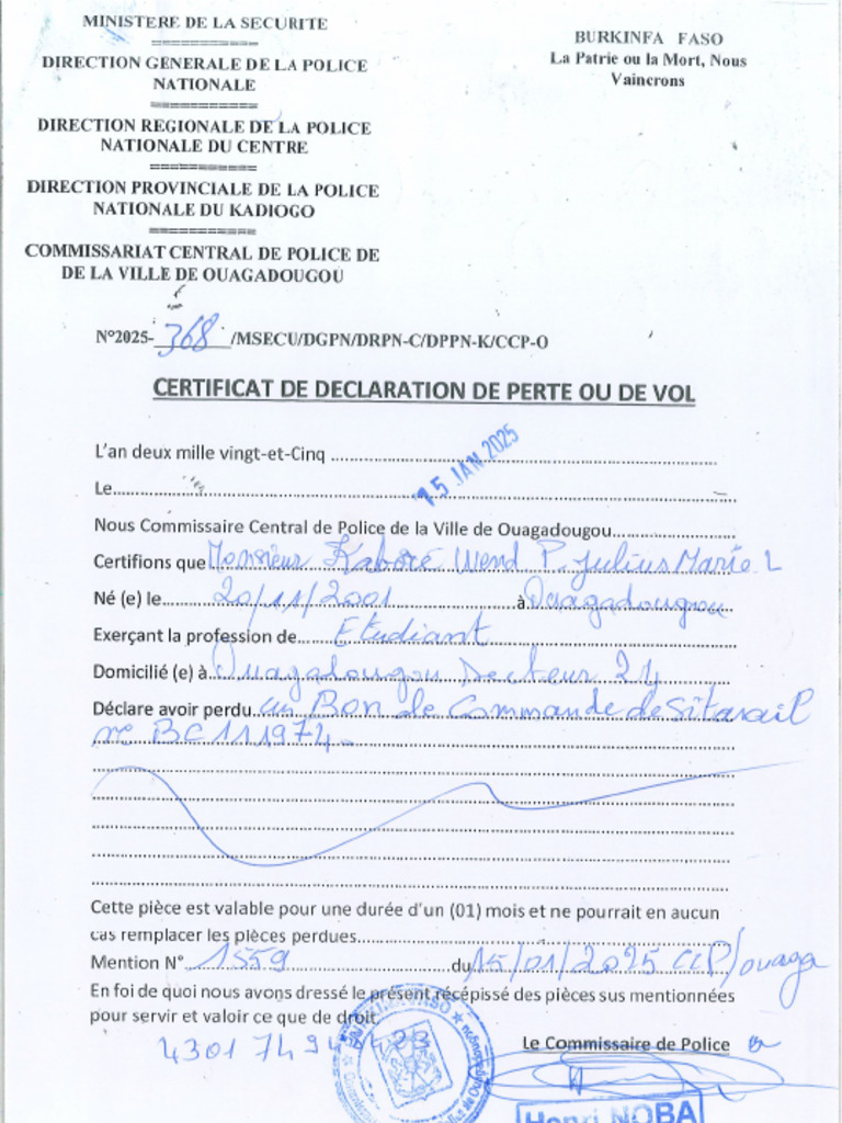 DOSSIER SIMKA-déclaration de perte | PDF