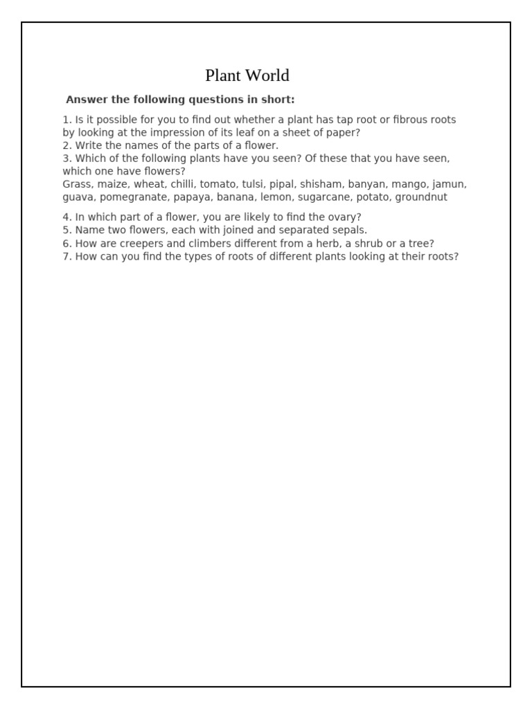 Class 6 Plant Classification Worksheet | PDF