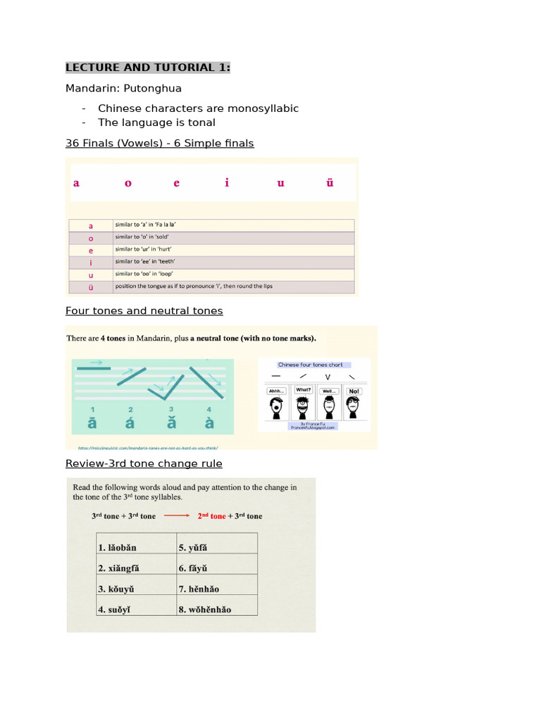 Mandarin Language Basics and Characters | PDF