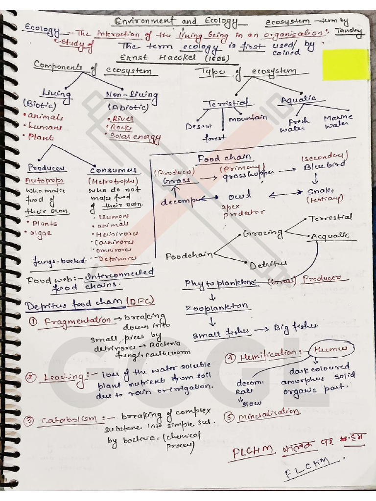 Environment (GCGL Handwritten Notes) PDF | PDF
