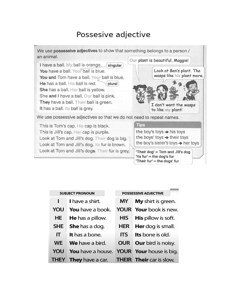 Possesive Adjective | PDF