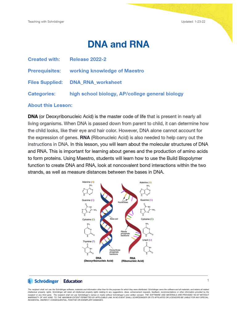 gb-dna-ls | PDF | Translation (Biology) | Messenger Rna