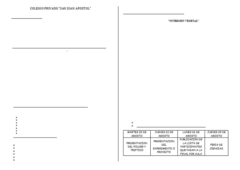 Bases de Feria de Ciencias 2024 Sja 4prim | PDF | Fertilizante | Plantas