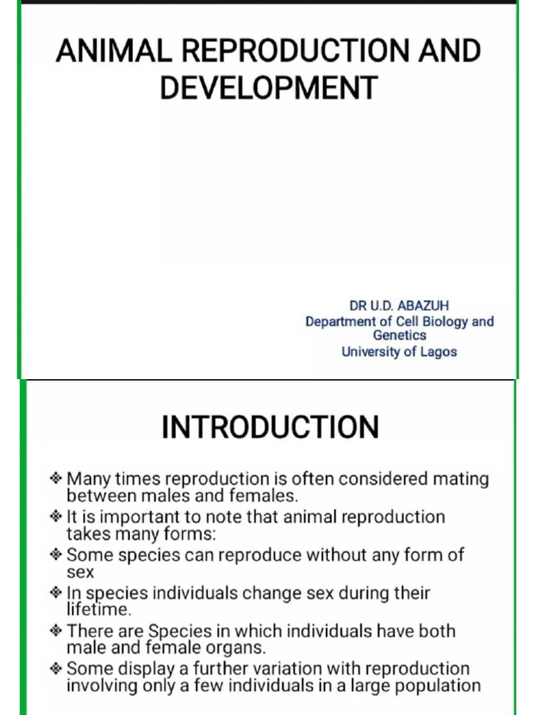 Animal Reproduction and Development | PDF
