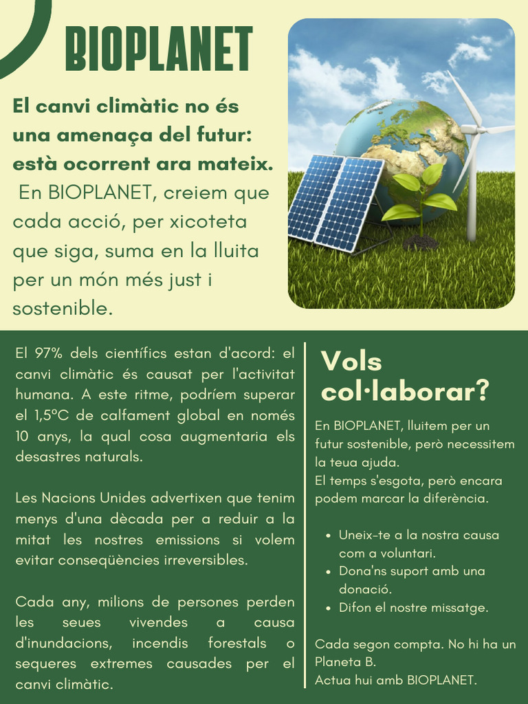 Fundación Alta Pinta | PDF