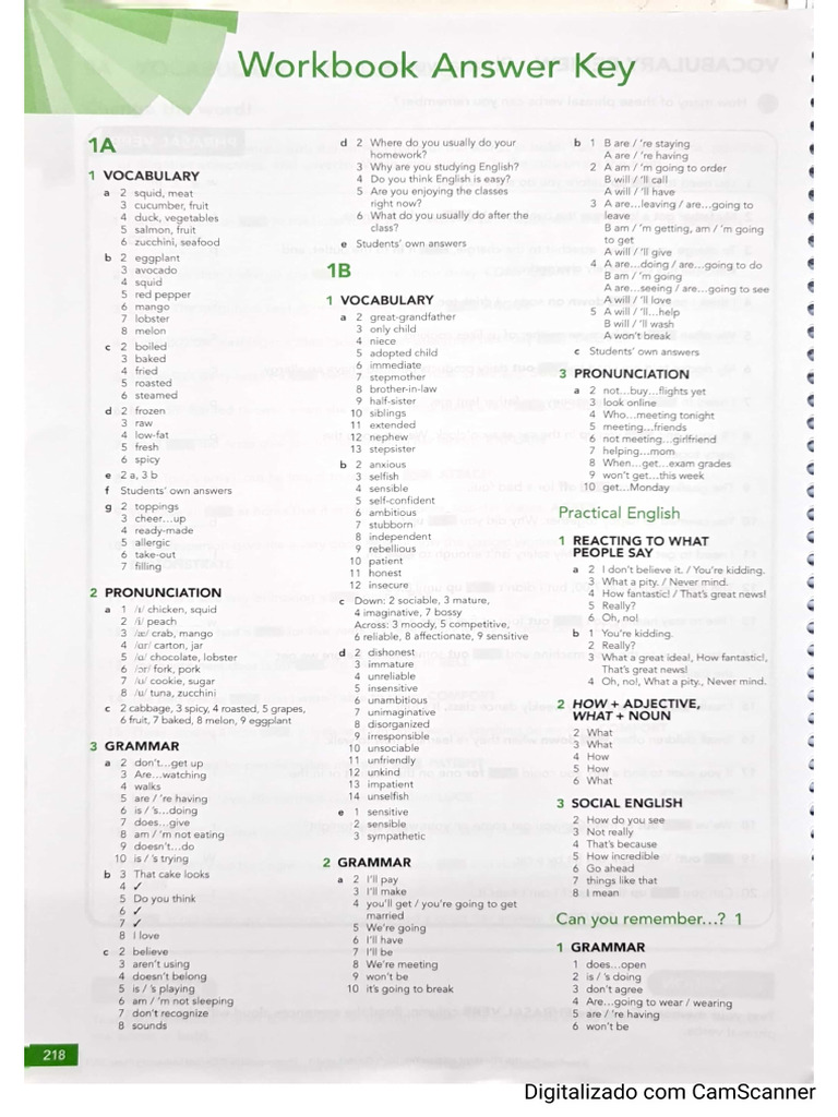 Workbook Answer Key - AEF 3 | PDF