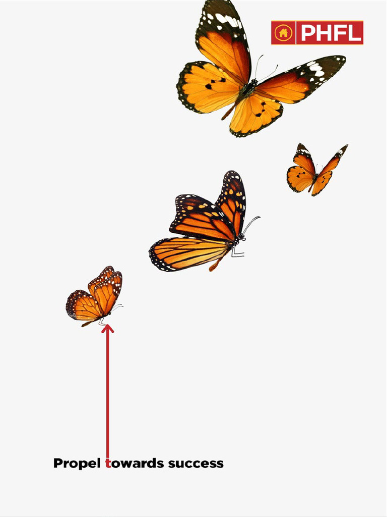 PHFL Annual Report | PDF | Audit | Corporate Social Responsibility