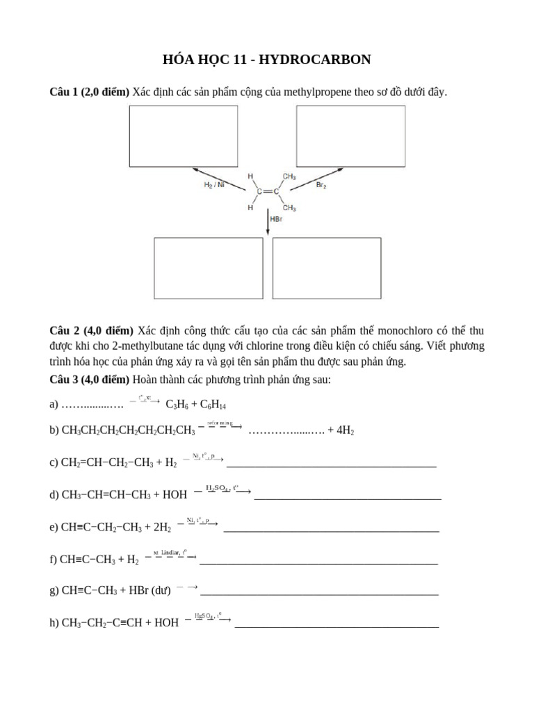 Hoa 11 BTVN Hydrocarbon | PDF