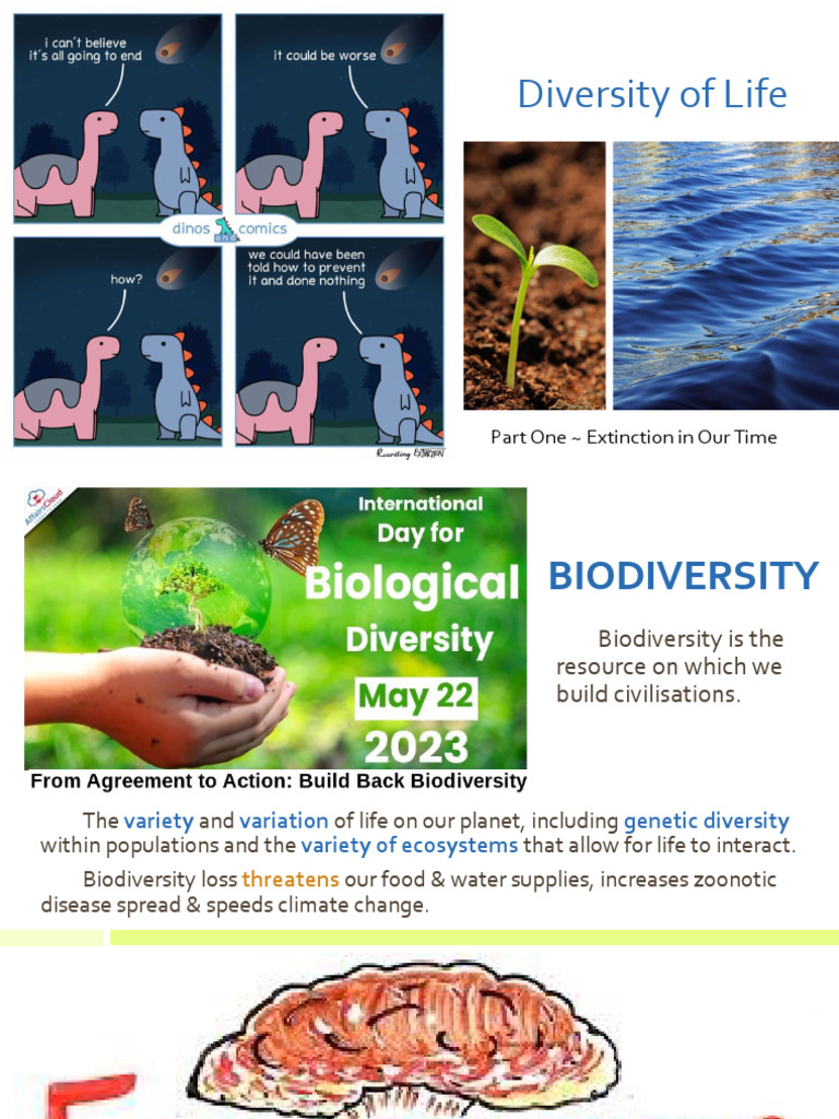TAL4 Diversity of Life | PDF | Biodiversity | Extinction